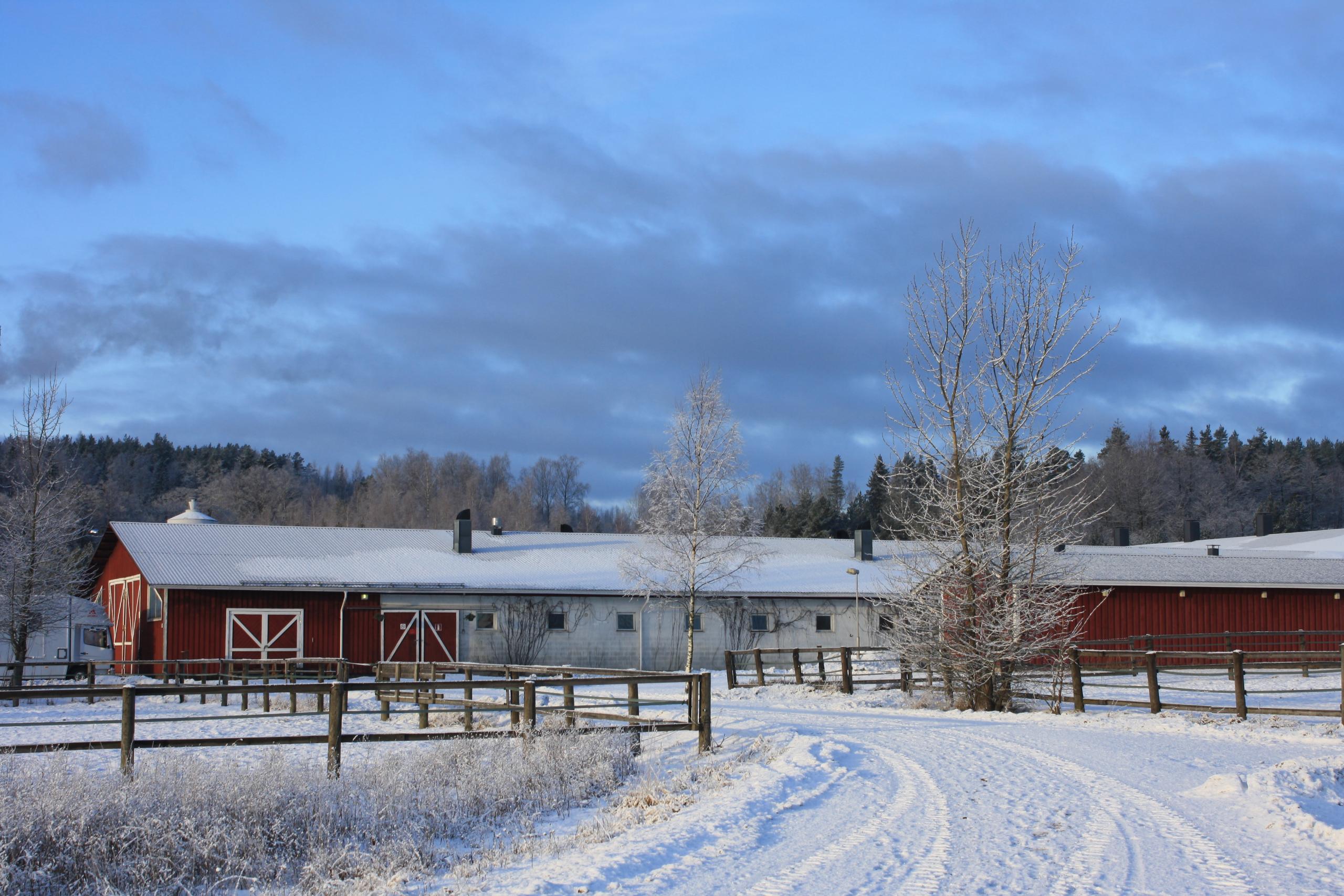 Rakennukset - Axxell