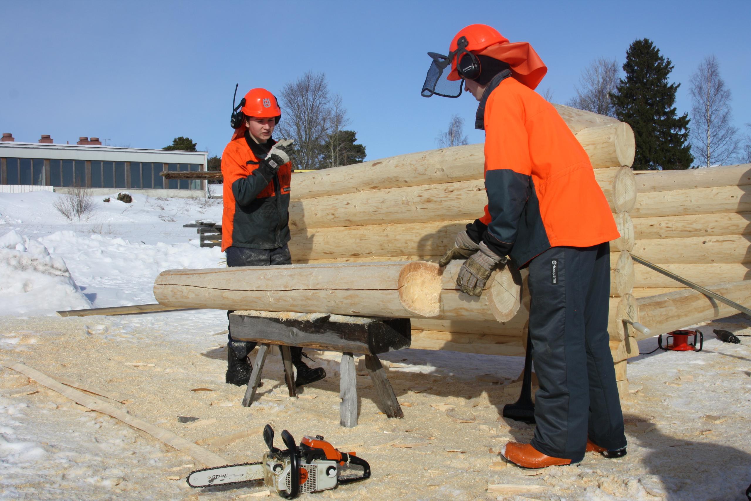 Hirsirakentaminen - Axxell